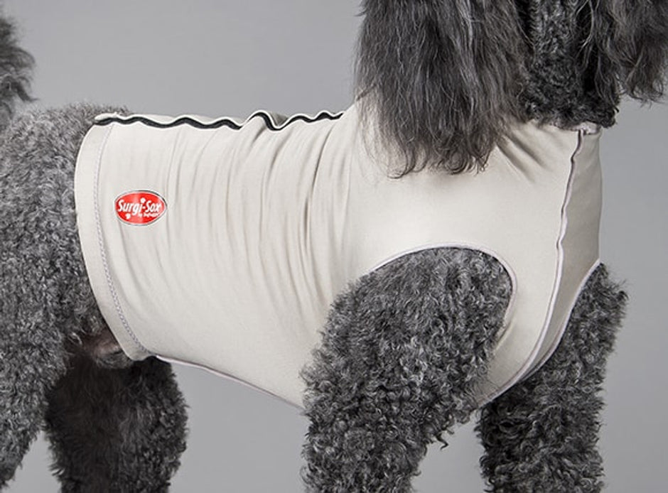 DogLeggs Products – Brian's Bandages
