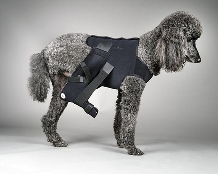 Ehmer Sling – Brian's Bandages