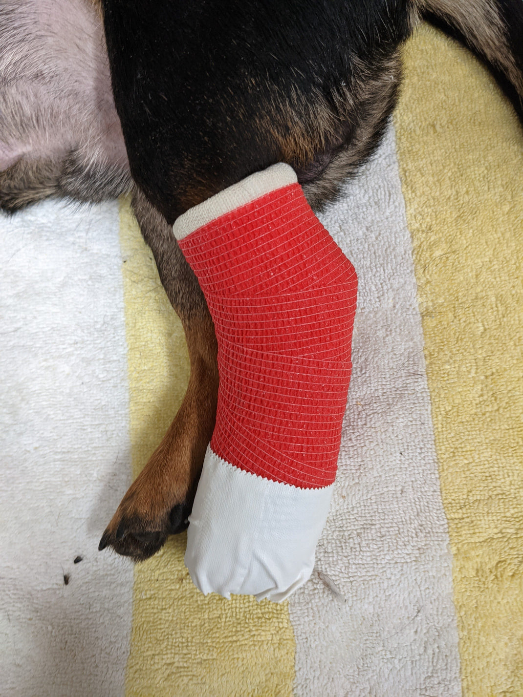 Swag – Brian's Bandages