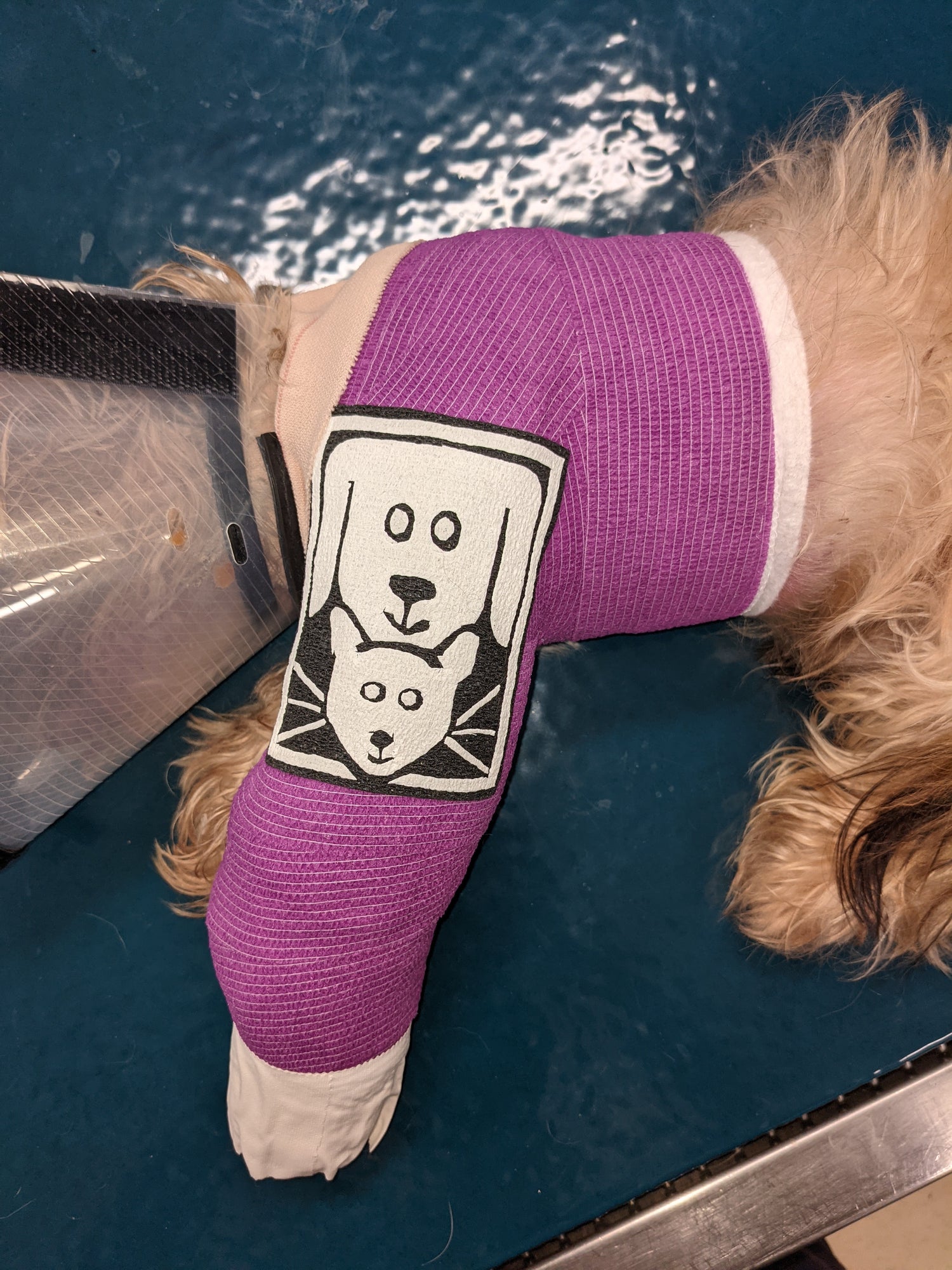 SPICA Splint – Brian's Bandages