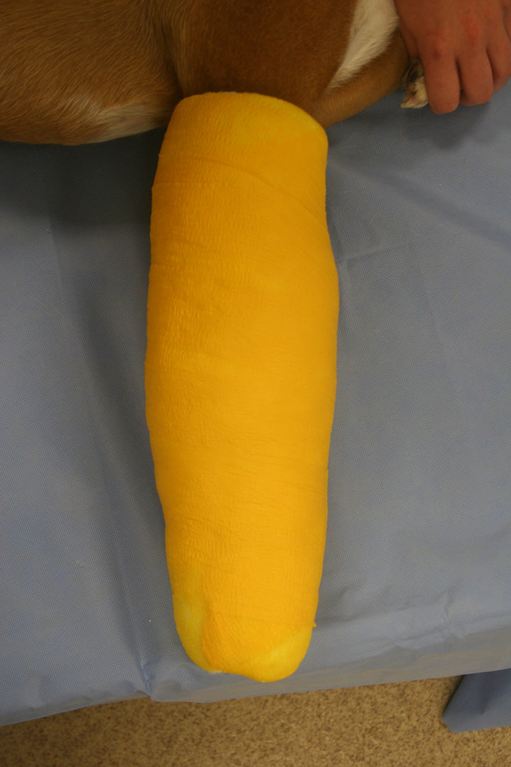 Traditional Robert-Jones Bandage – Brian's Bandages